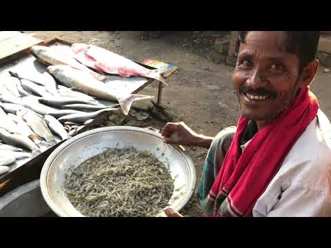 The Evolution of Decentralized Rice Fish Fingerling Production in Northwest Bangladesh