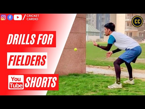 DRILLS FOR FIELDING AND CATCHING! #shorts #youtubeshorts