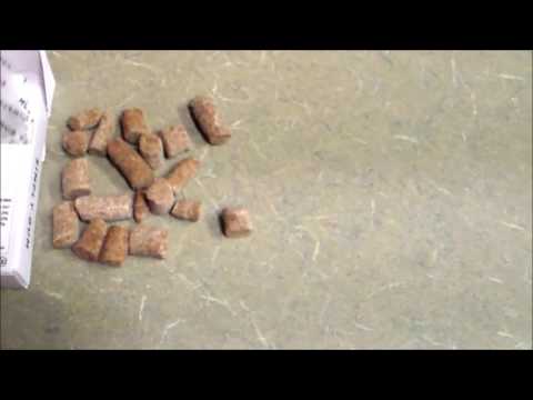 NATURAL CHEWING GUM: SIMPLY GUM PRODUCT REVIEW!