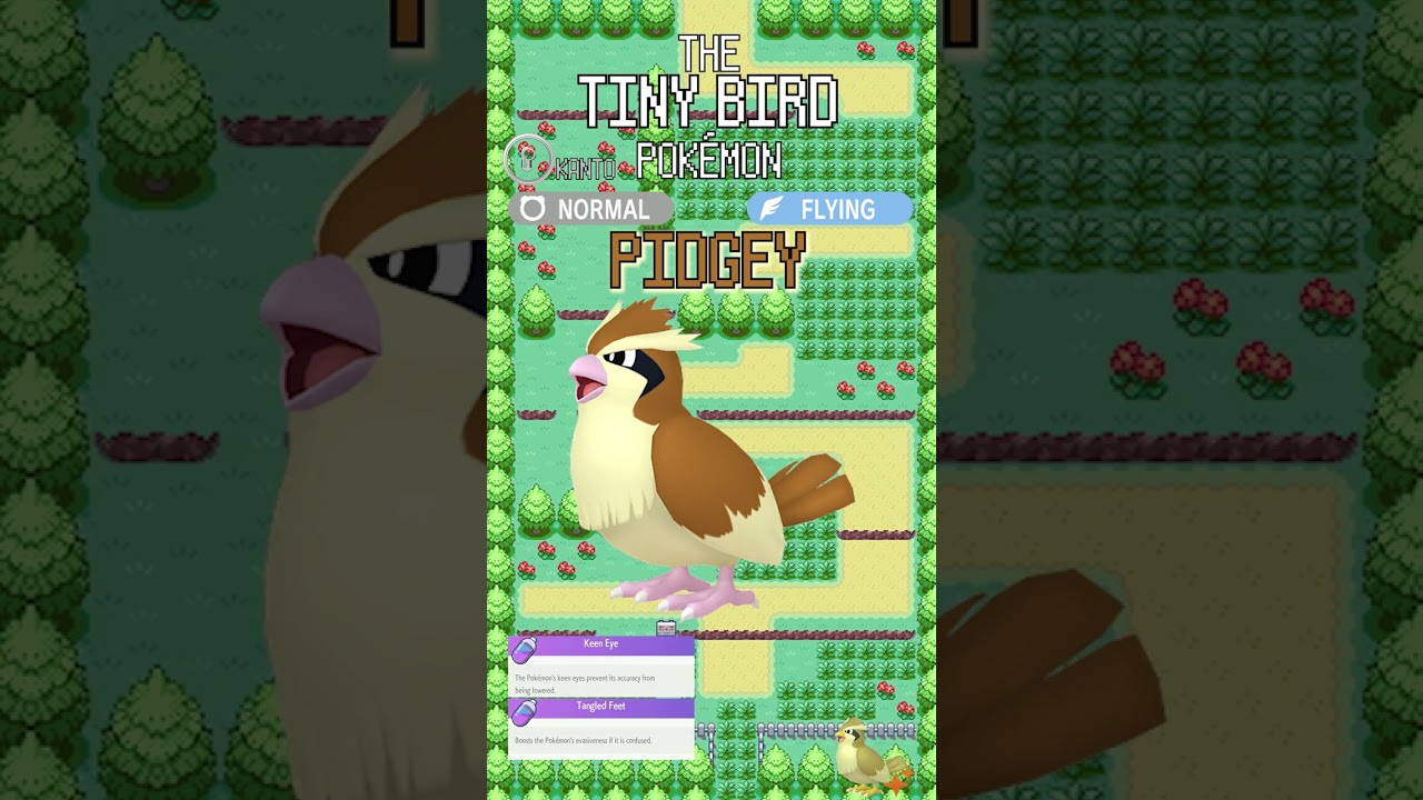 Pidgey → Pidgeotto → Pidgeot