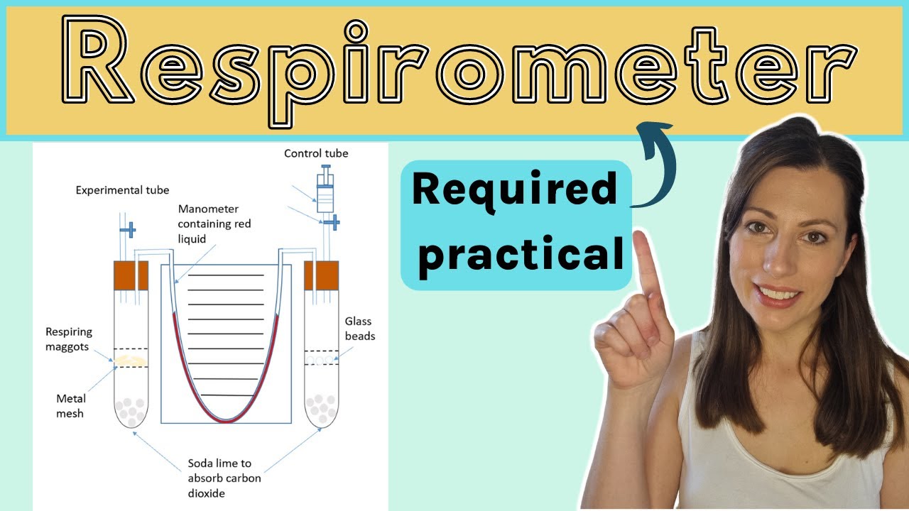 A-level Biology RESPIROMETER- AQA required practical.  How to measure the rate of respiration