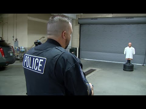 How the BolaWrap works