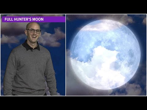 Skywatch 16: Hunters, constellations, meteors