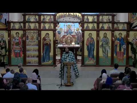 Fr. Andrew Stephen Damick on the Anti-Ochians -- 6/22/2025