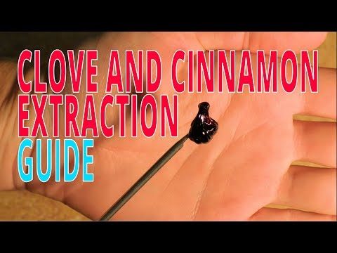 How to extract clove and cinnamon with ethanol using the Source by ExtractCraft
