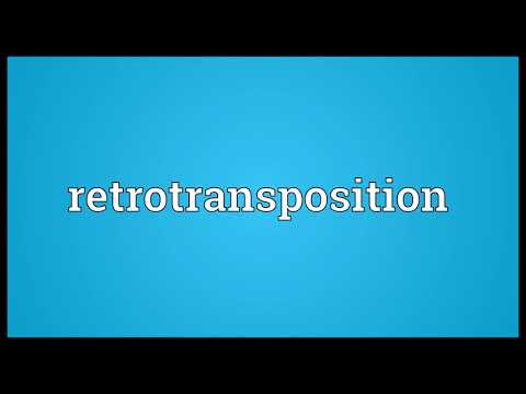 Retrotransposition Meaning