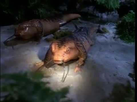 Janeway and Paris Turn Into Slugs | Star Trek Voyager