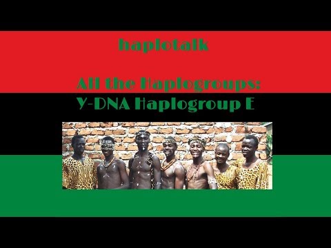 All the Haplogroups: Y DNA Haplogroup E (E0019)