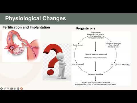 Part 3: Principles of Anesthesia for Cesarean Section