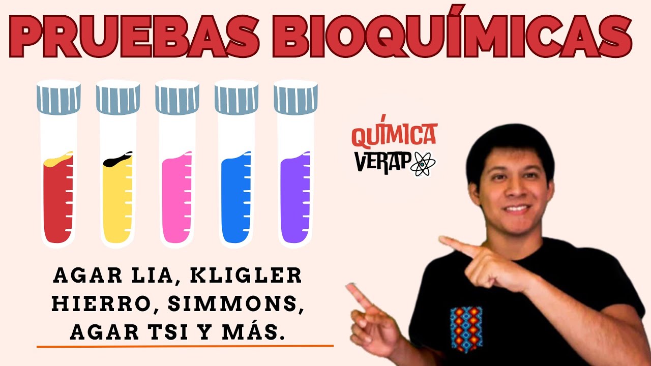 PRUEBAS BIOQUIMICAS Microbiología, Pruebas Bioquimicas identificación bacteriana Pruebas Bioquimicas