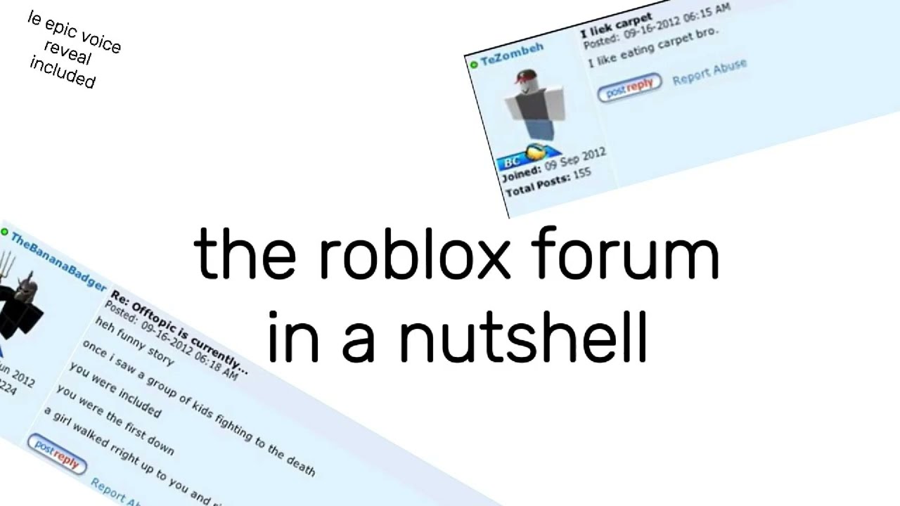 the roblox forum in a nutshell