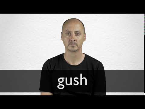How to pronounce GUSH in British English