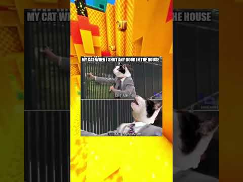 Cute Cat Memes ๐น