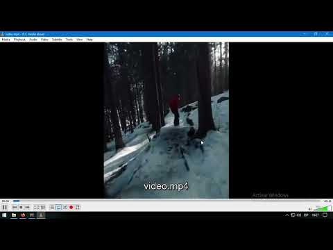 download videos from instagram twitter tiktok 2022 descargar videos de instagram twitter tiktok