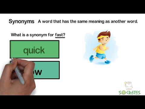 Synonyms