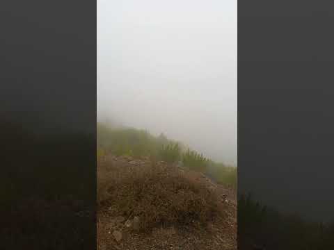 Man look the beauty of nature