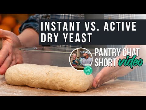 Instant vs. Active Dry Yeast | Pantry Chat Podcast Short