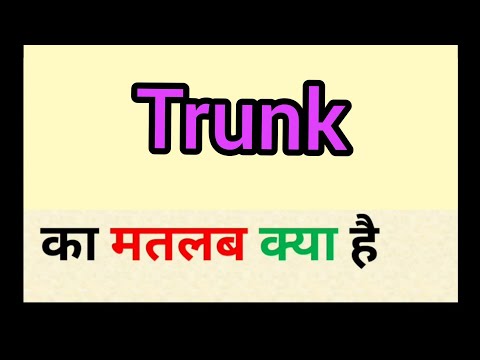 Trunk meaning in hindi || trunk ka matlab kya hota hai || word meaning english to hindi