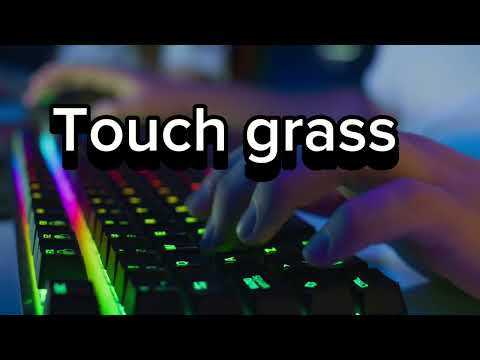 English slangs " touch grass"