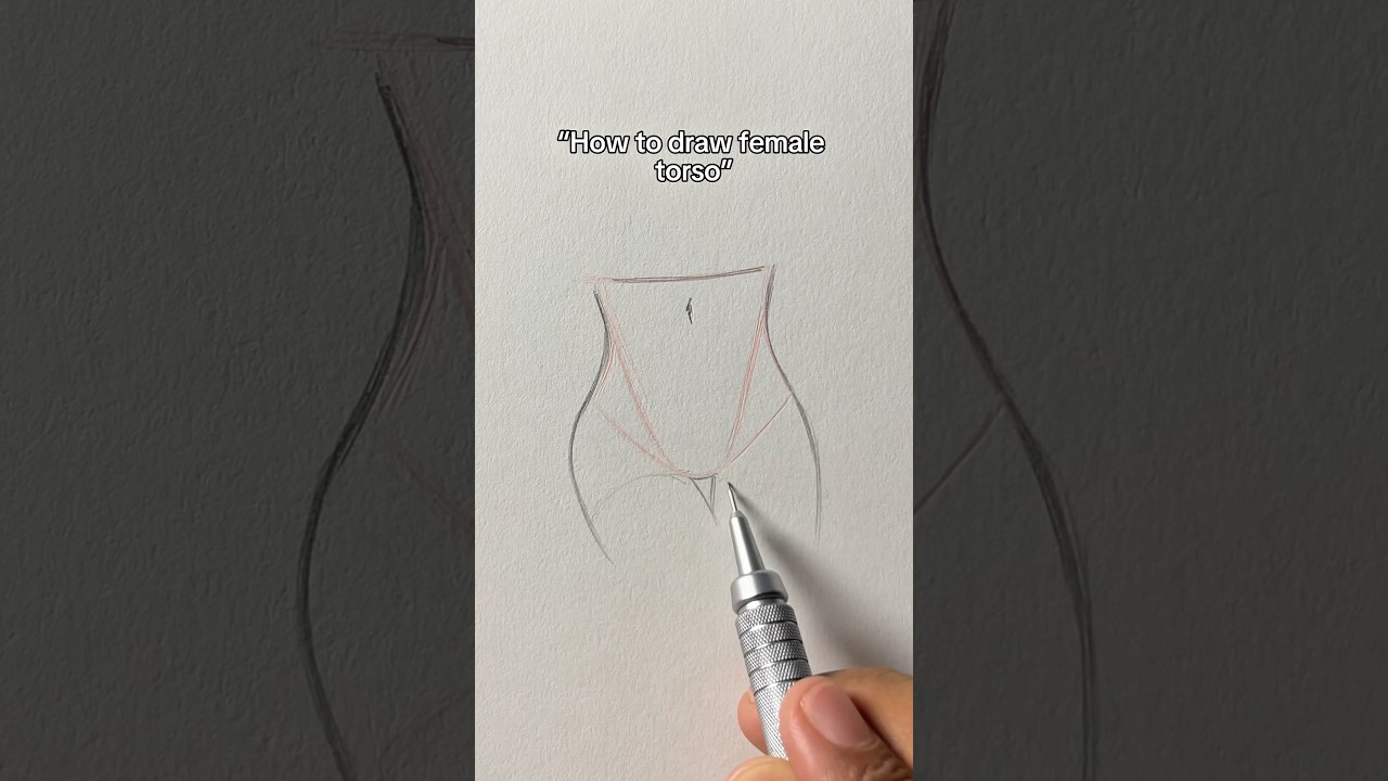 How to draw female torso