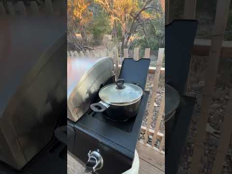 Nexgrill Deluxe 4-Burner (48000 BTU) Premium Dual Energy Propane Gas Grill Review