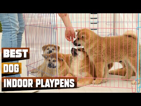 Top Rated Dog Indoor Playpens on Amazon