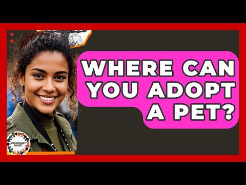 Where Can You Adopt A Pet? - Anthropology Insights