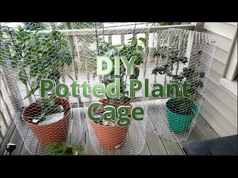 #1 Amazing DIY Squirrel Proof Potted Plant Cage For Patio
