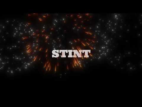 Stint : pronunciation + meaning + examples