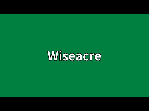 Wiseacre Meaning