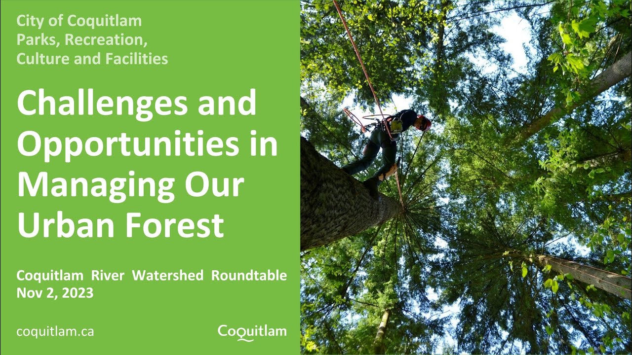 Challenges and Opportunities in Managing Our Urban Forest