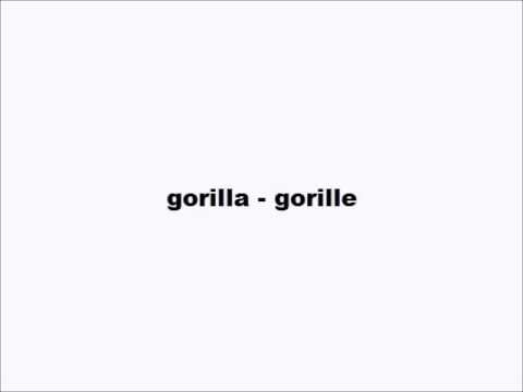 The French Word For "Gorilla"