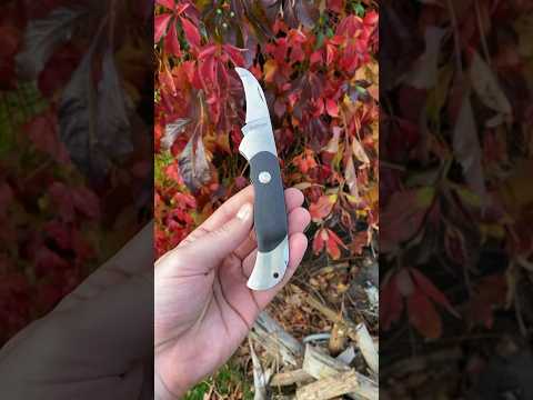 Boker Optima from Solingen #solingen #edc