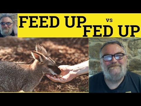 🔵 Feed Up Meaning - Fed Up Examples - Fed Up vs Feed Up - Phrasal Adjectives Verbs Feed up or Fed Up