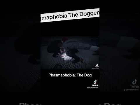 Steam Community :: Video :: Phasmaphobia and the Dog