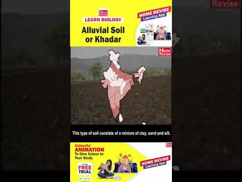 Alluvial Soil or Khadar