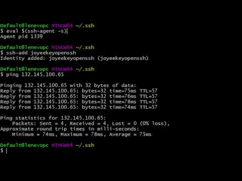 Connecting Remote Server from Gitbash (Windows)