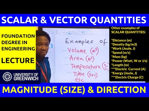Examples of Scalars and Vectors (Quantites) in Maths and Sciences