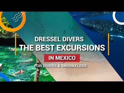 EXCURSIONS IN MEXICO WITH DRESSEL DIVERS