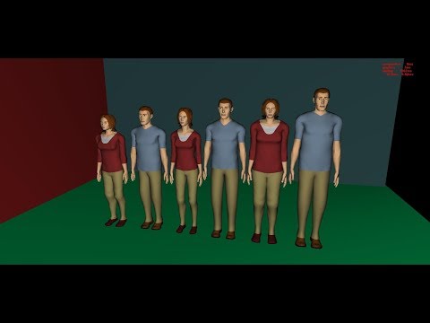Human Factors Terms : Anthropometry