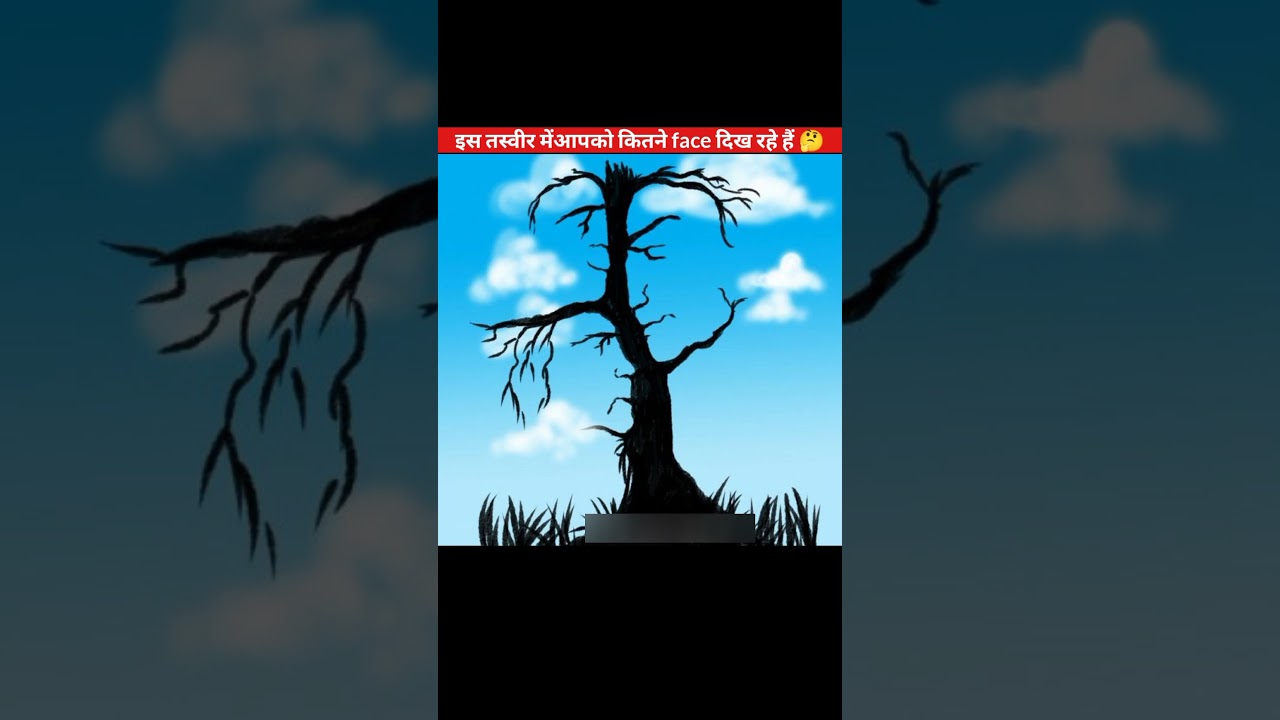 hidden face illusion || amazing illusion || illusions #shorts