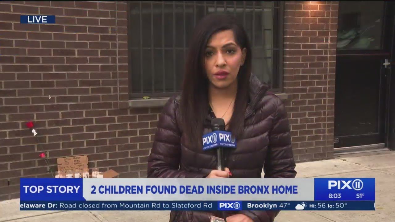 Two Bronx boys fatally stabbed; mother in custody