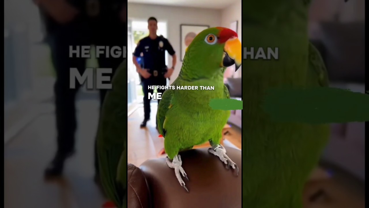 Parrot Never lied #talkingparrot #gameplay #games #shortclips #shorts #play #ai
