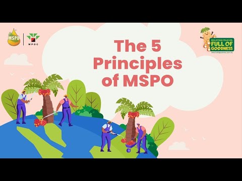 The 5 Principles of MSPO | Full of Goodness