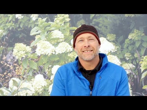 How to pronounce "Buddleia"