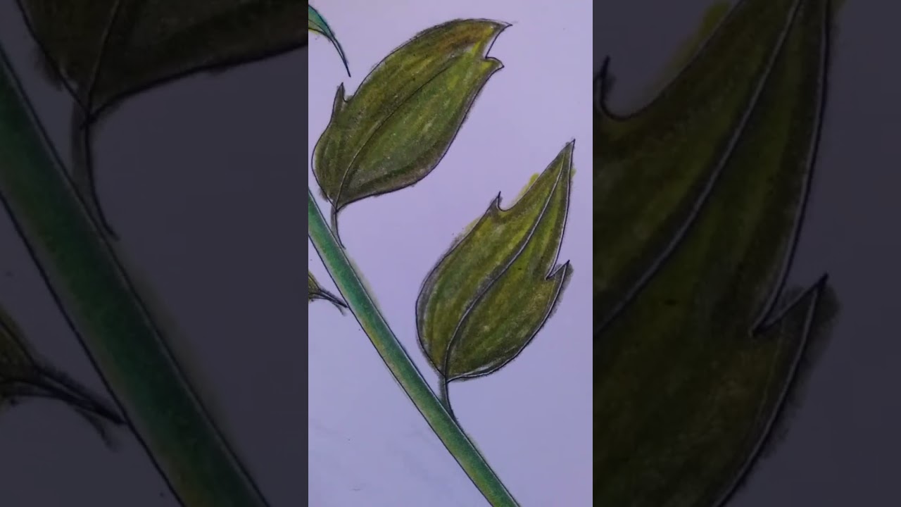 #shortsDrawing leaves on a big pink flower.