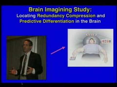 The Cognitive and Computational Neuroscience of Categorization, Novelty-Detec...