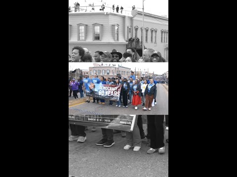 Selma 60: LDF Recap