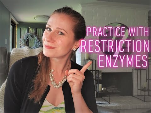 How Do Restriction Enzymes Work?