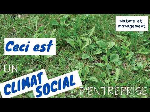 Ceci est un climat social d'entreprise